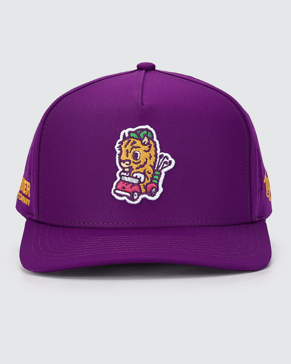 Original Snapbacks – Waggle